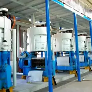 High-Efficiency Oil Production Line - Extract & Refine High-Quality Oil