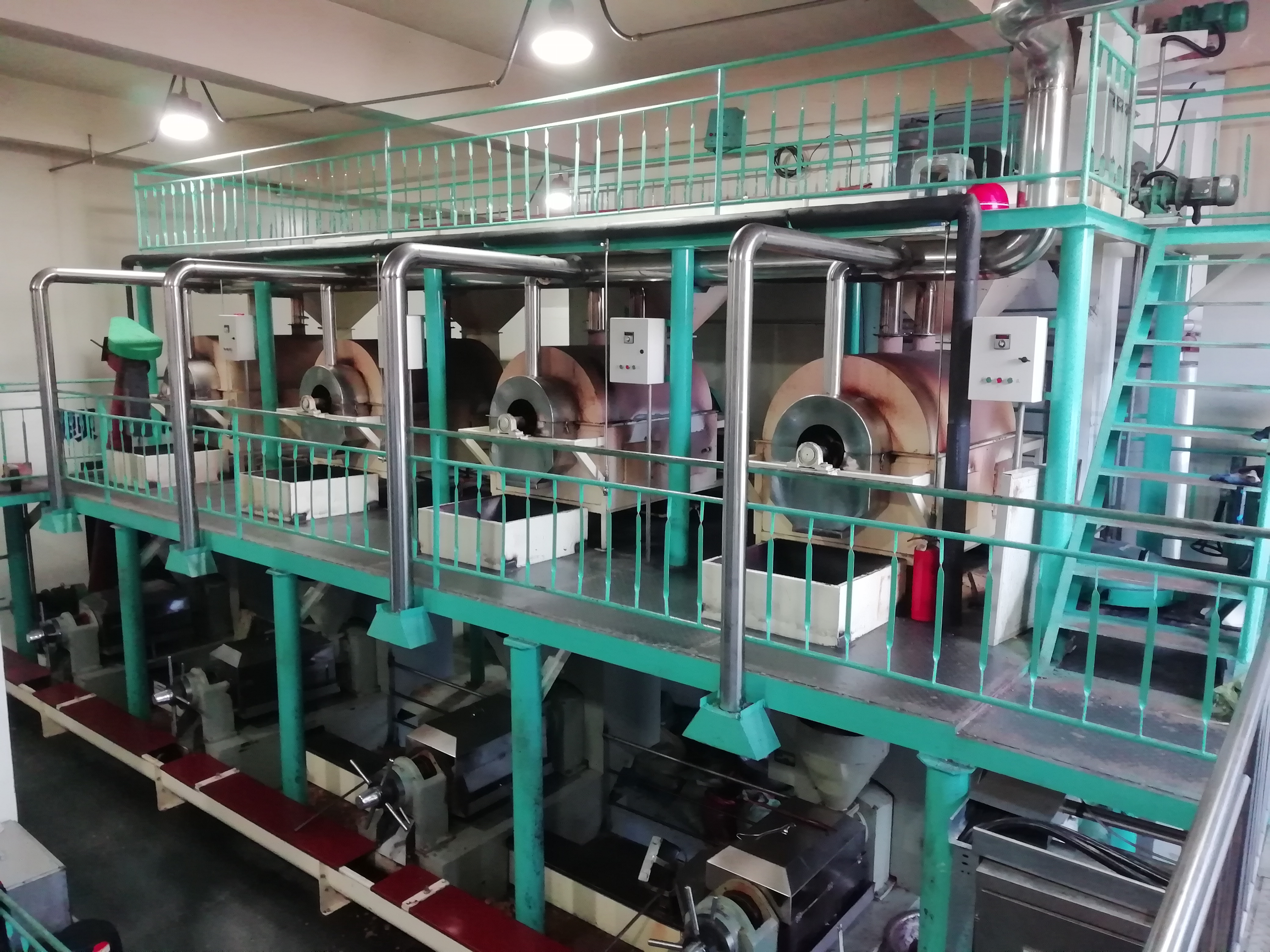 Comprehensive Guide to Mustard Oil Manufacturing Plant Costs and Process